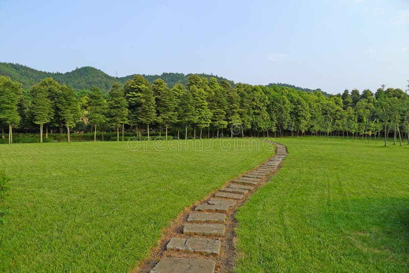 Stone path with trees stock image. Image of fairyland - 32738317