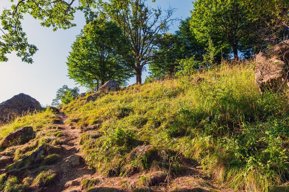 Stone path up the mountain stock photo. Image of footpath - 303853444