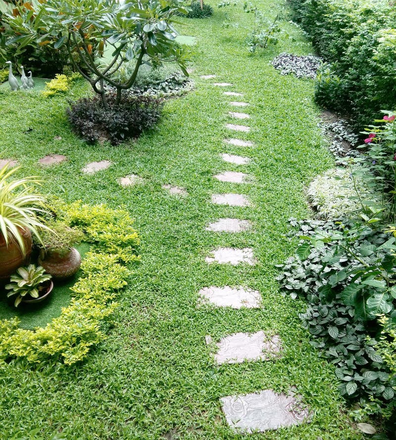 Stone Path Walkway in Green Grass Garden Stock Photo - Image of tree ...