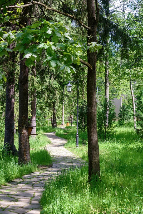 A Stone Path for Walking in the Park between Trees and Lanterns. Stock ...