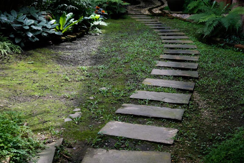 Stone Path Walkway in Garden Stock Photo - Image of garden, path: 130611426