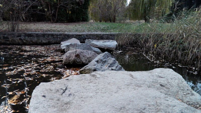 Stone Path in the Water Crossing in the Park Stock Photo - Image of ...