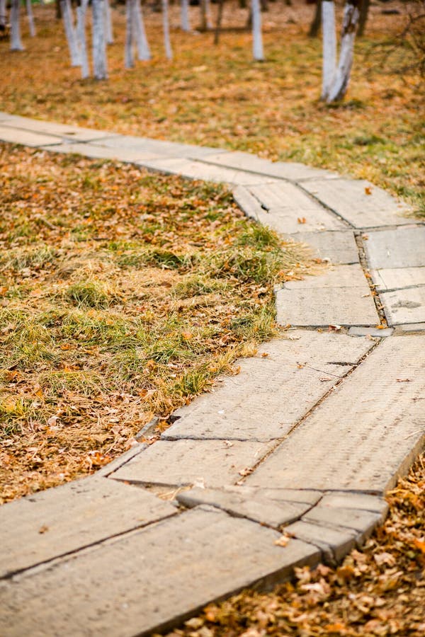 Stone Path Winding In A Garden Stock Photo - Image of fresh, floral ...