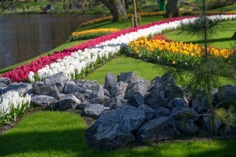 A Stone Pathway is Bordered by Multi - Colored Flowers and Rocks Stock ...