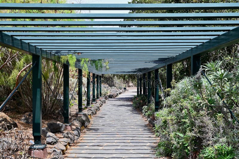 Stone Path in the Botanic Garden Jardin Canario on Gran Canaria Island ...
