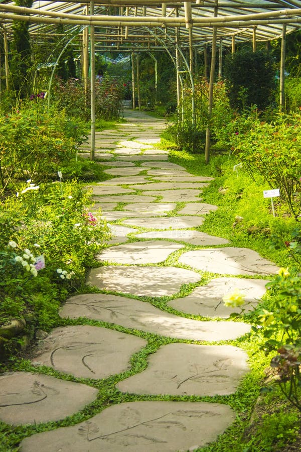 Stone Pathway on the Lawn in the Garden. Stock Image - Image of road ...