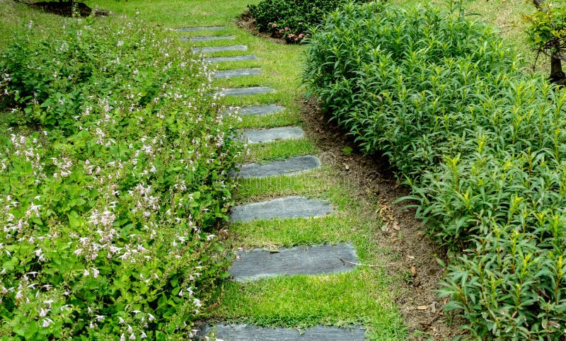 Stone Pathway in garden stock image. Image of summer - 87244269