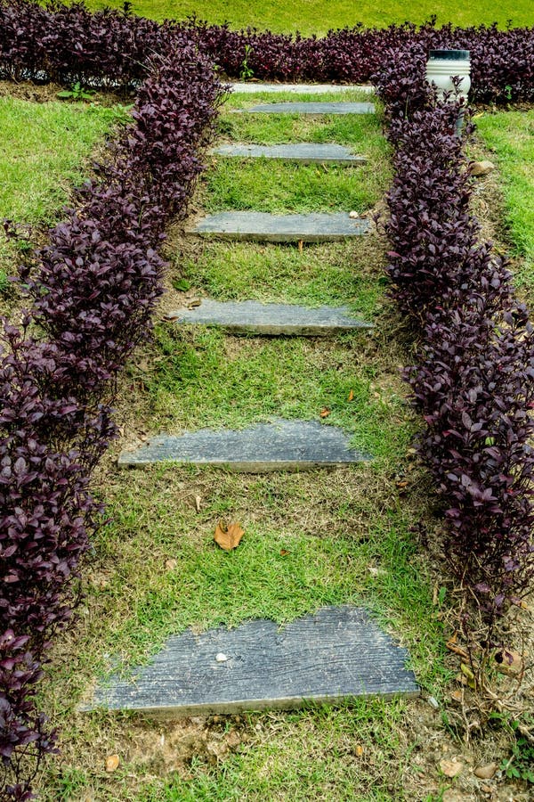 Stone Pathway in garden stock image. Image of summer - 87244269