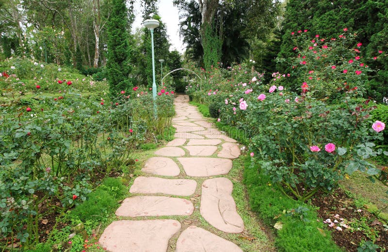 Stone pathway on grass stock image. Image of cobble, step - 94051141