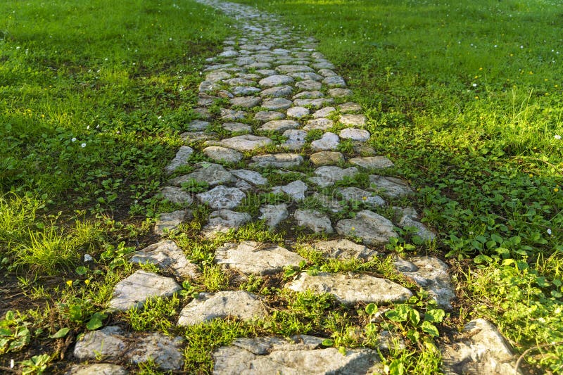 Stone Pathway Grass in Summer Garden Stock Image - Image of outside ...