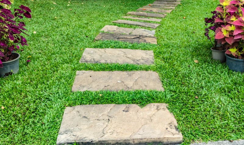 Stone Pathway in the park stock photo. Image of plant - 79477834