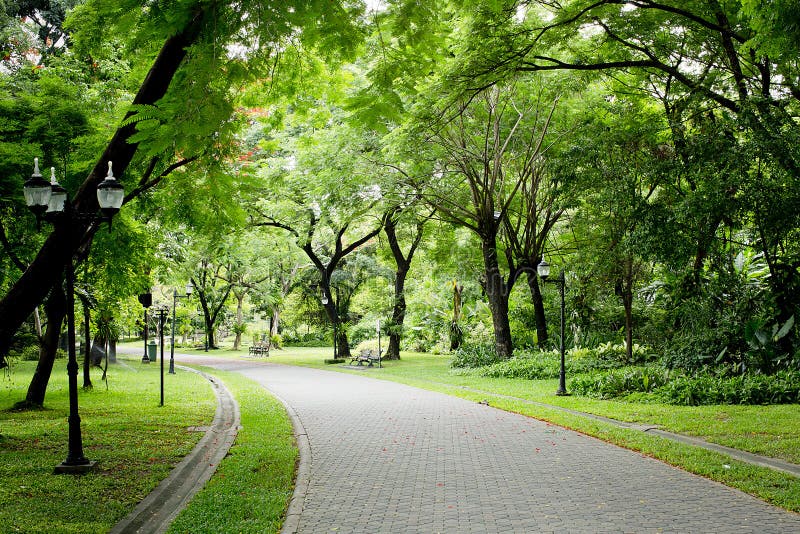 City Park Pathway stock image. Image of tree, park, anytown - 3427