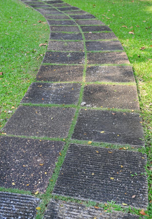 Brick pathway texture stock image. Image of season, road - 135758927