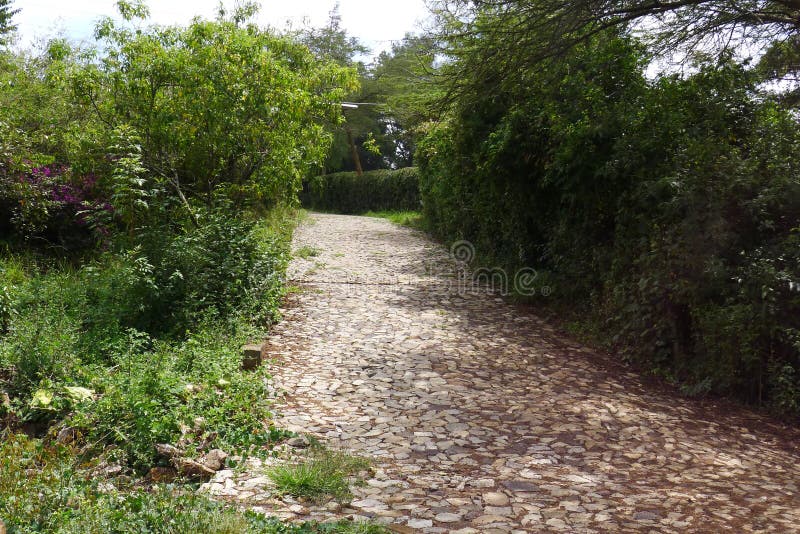 Stone pathway stock photo. Image of evening, architecture - 91327502