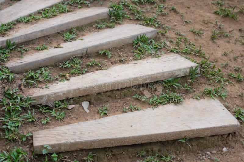 Stone Pathway or Stairs on Floor Stock Photo - Image of outdoor, grass ...