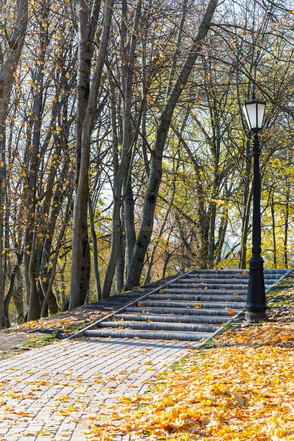Pathway and Stairs through the Garden of a Family House Entrance with ...
