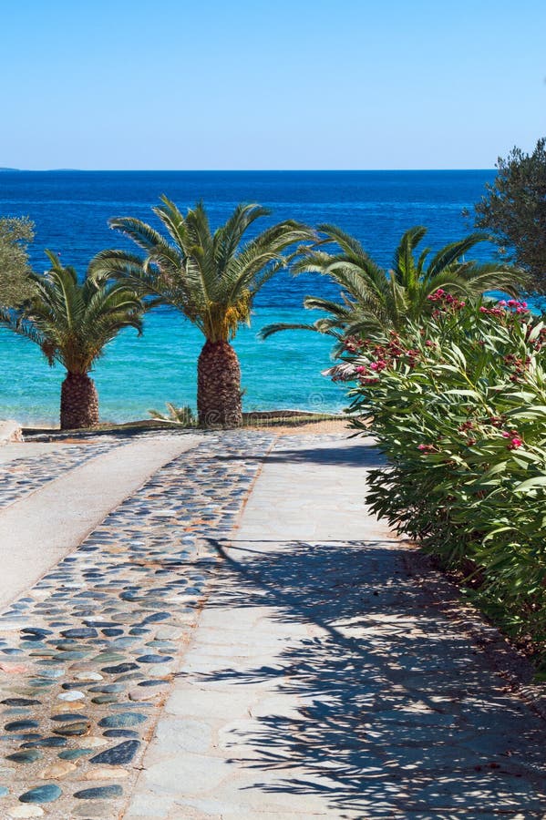 Stone Pathway of Stone into Garden during Day Time at Chalkidiki in ...