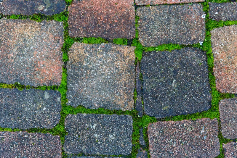 Stone pathway texture stock photo. Image of architecture - 66647424