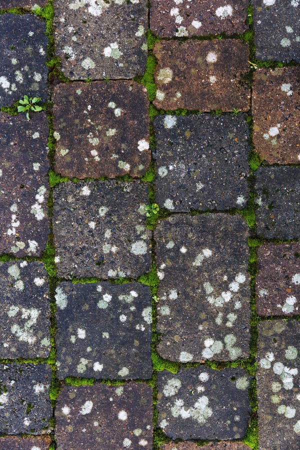 Stone pathway texture stock photo. Image of paved, coarse - 67317032