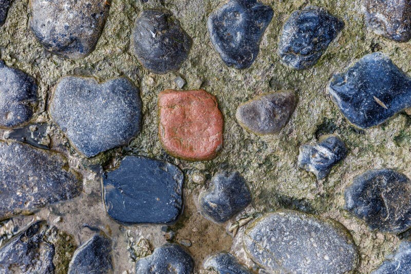 Pathway Texture in Garden.Vertical Garden. Stock Photo - Image of lawn ...