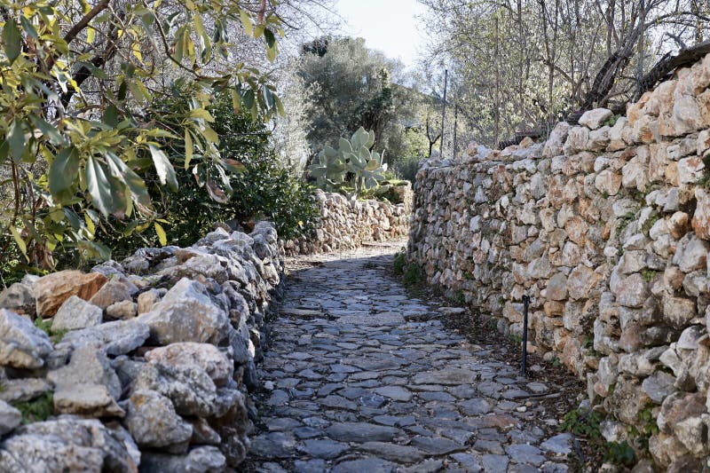 Stone pathway trees stock photo. Image of majestic, exterior - 363725700