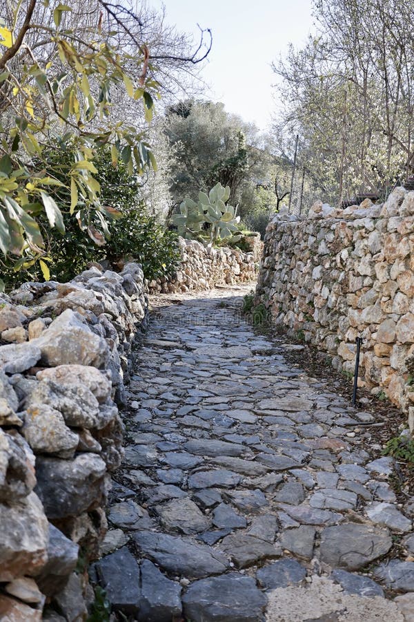 Stone pathway trees stock image. Image of picturesque - 363725995
