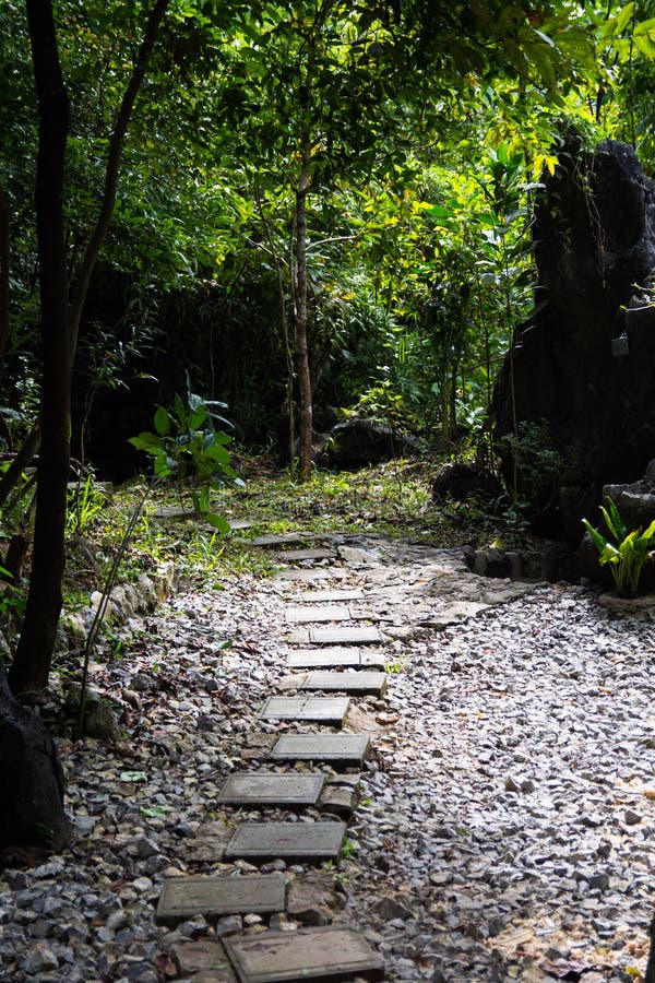 Stone pathways stock image. Image of summer, quiet, design - 83909523