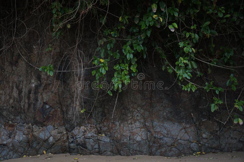 Stone Pattern Background, Beautiful Stone Wall so Well with Plants and ...