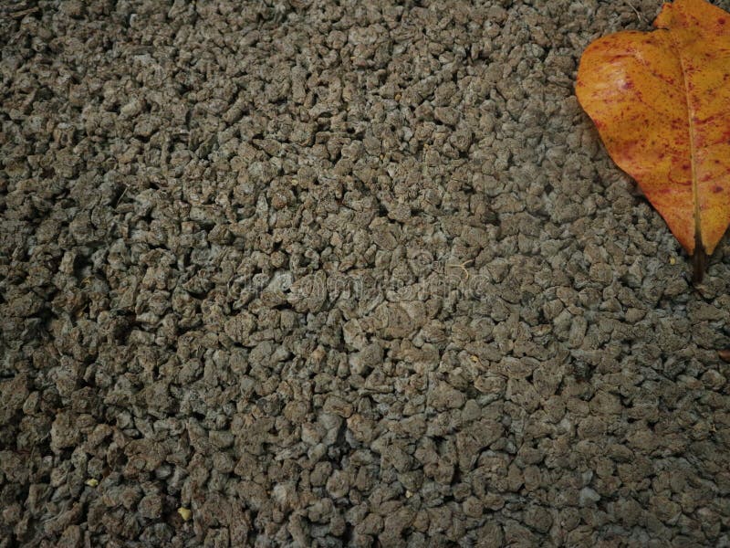 Stone Pattern Road with Fallen Leaf Stock Photo - Image of pattern ...