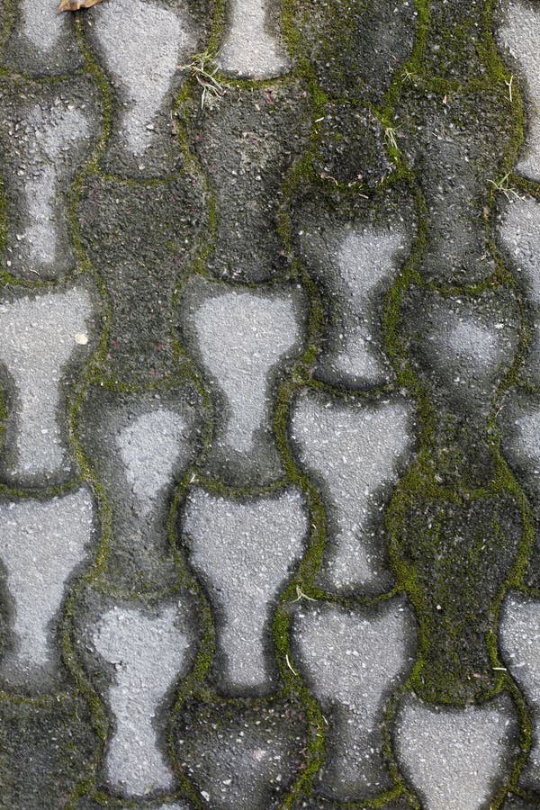 Pavement Decorative Tile Surface Pattern Stock Photo - Image of paving ...