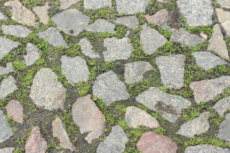 Stone pavement with grass stock photo. Image of volcanic - 71717636