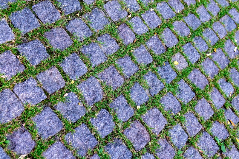 387 Grass Paver Texture Stock Photos - Free & Royalty-Free Stock Photos ...