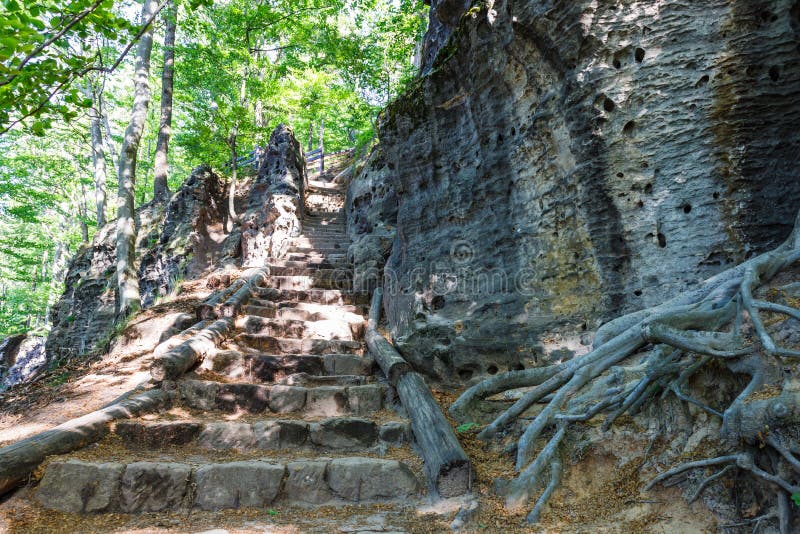 Stone Pavement Hiking Path in the Mountains Stock Photo - Image of wild ...