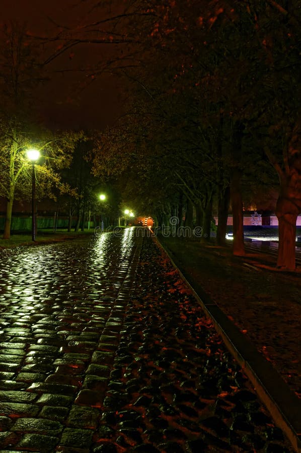 Stone Pavement in the Night Stock Photo - Image of forest, europe: 91979180