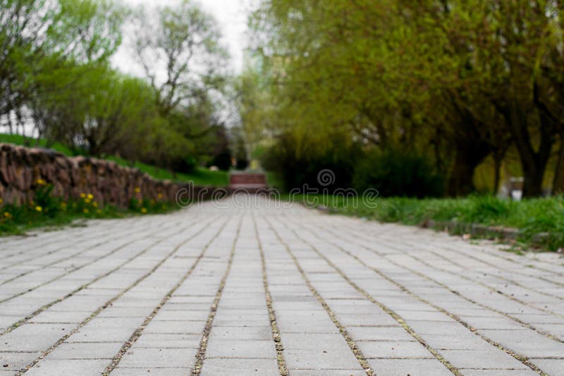 Stone Pavement on the Road in the Park Stock Photo - Image of paver ...