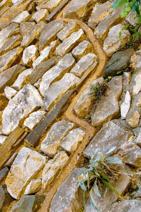 13,427 Stone Pavement Yellow Stock Photos - Free & Royalty-Free Stock ...