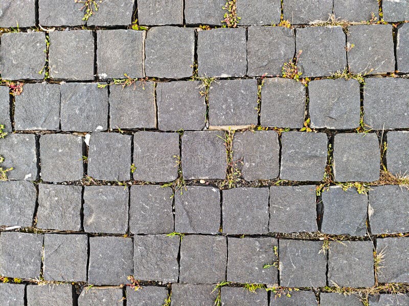 Stone Pavement with Square Cobblestones and Grass Growing in between ...