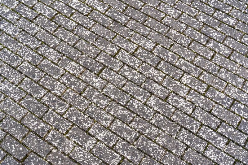 Stone pavement texture stock photo. Image of concrete - 273853946