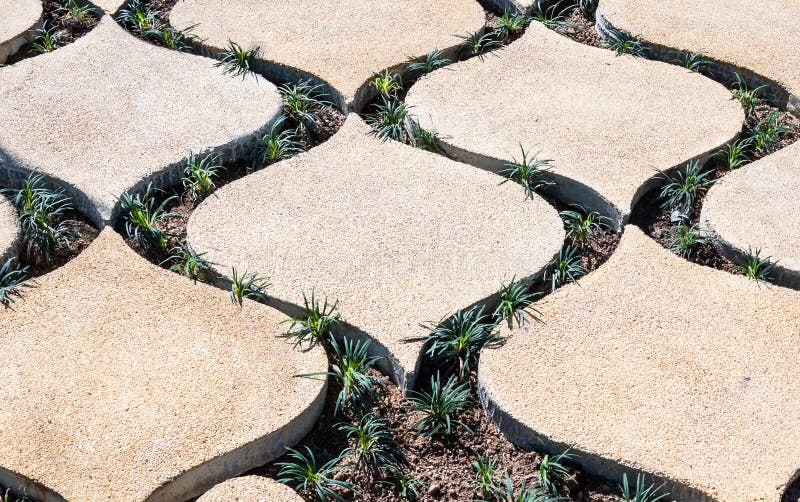 Stone Pavement stock image. Image of garden, nature, path - 31246163