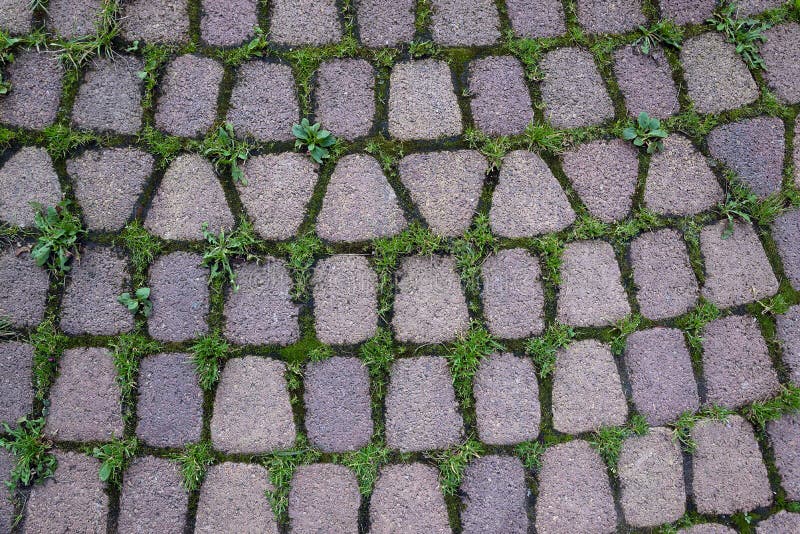 Stone Pavers with Grass in the Joints, Texture Stock Photo - Image of ...