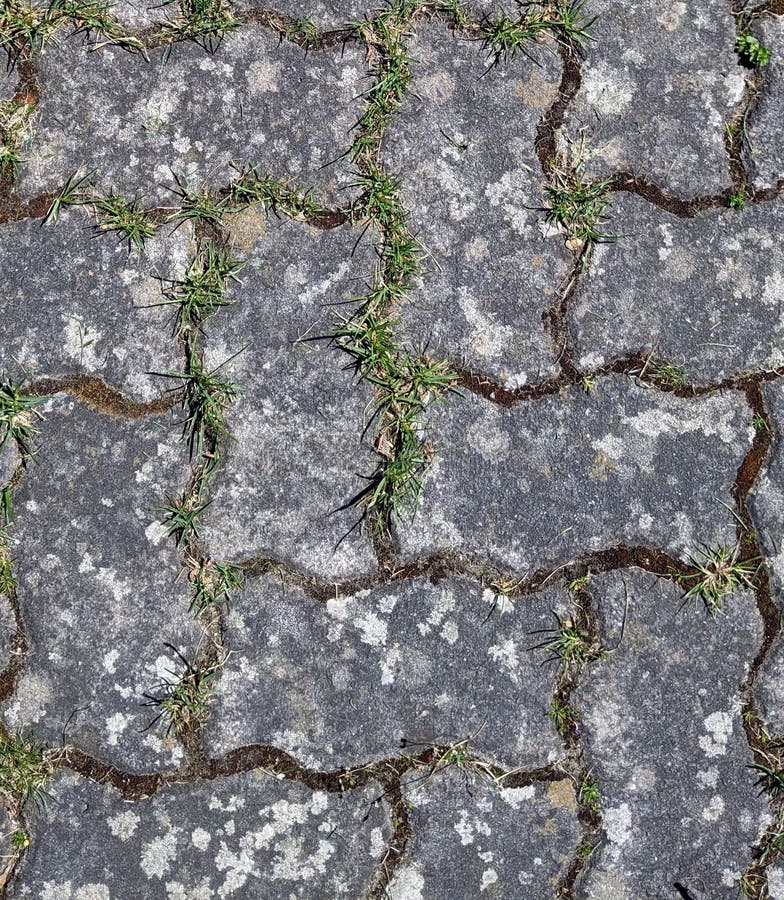 Texture of Old Interlocking Stone Pavers with Grass and Soil Stock ...