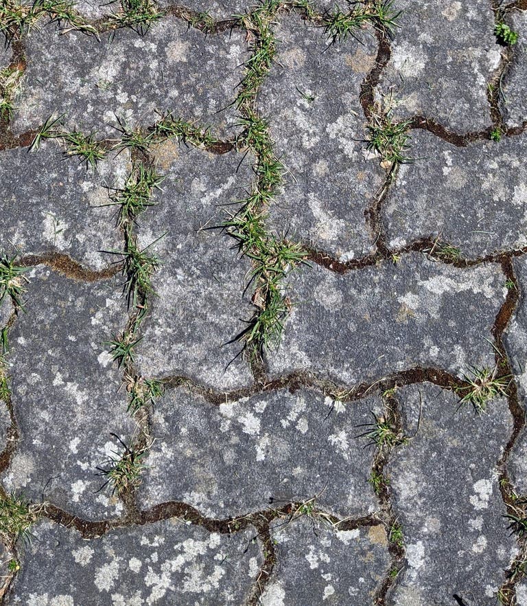 411 Grass Paver Texture Stock Photos - Free & Royalty-Free Stock Photos ...