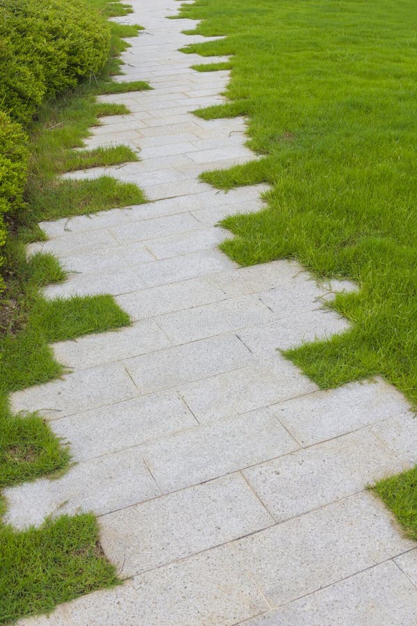 Paving Footpath with Grass stock photo. Image of design - 100948972