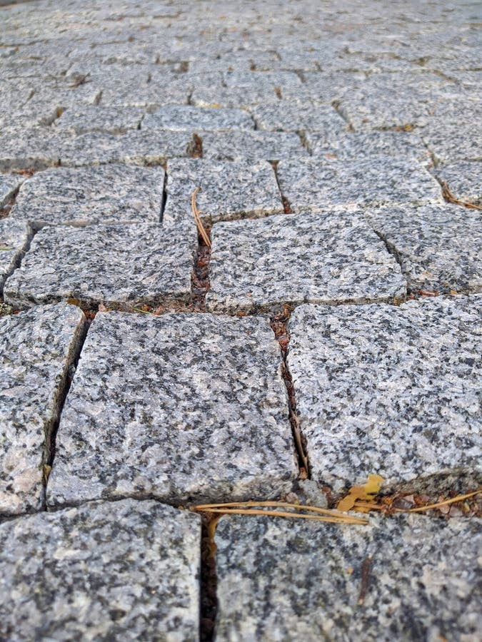 Stone Paving Slabs in the Park in Summer Stock Photo - Image of sunny ...
