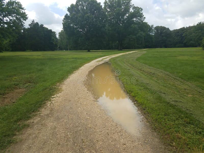 Stone Trail with Grass and Trees and Puddle Stock Photo - Image of ...