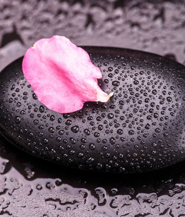 Stone and petal stock image. Image of petal, freshness - 48976785