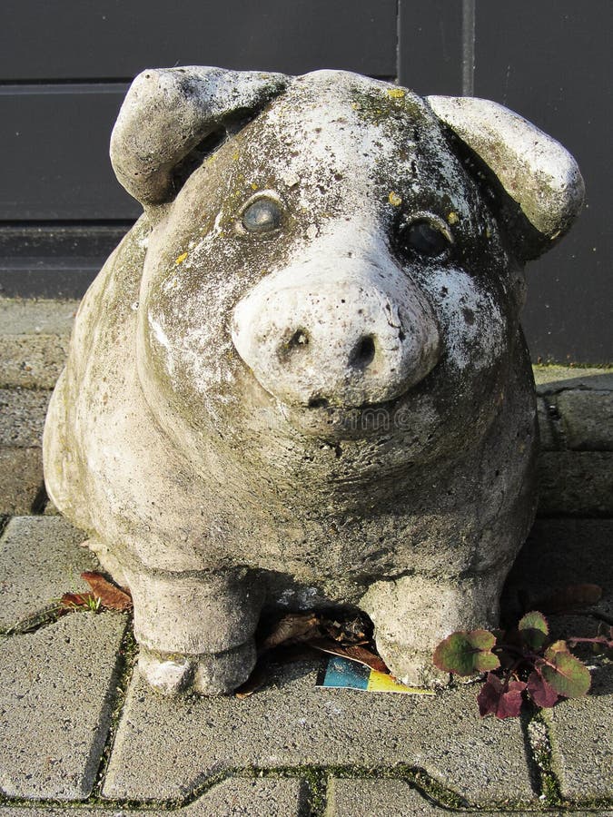 Stone pig in the garden stock photo. Image of statues - 47477982