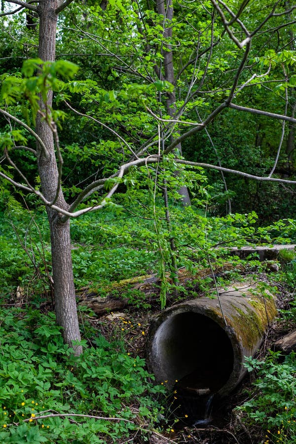 Stone Pipe in the Forest with a Stream Flowing from it Stock Image ...
