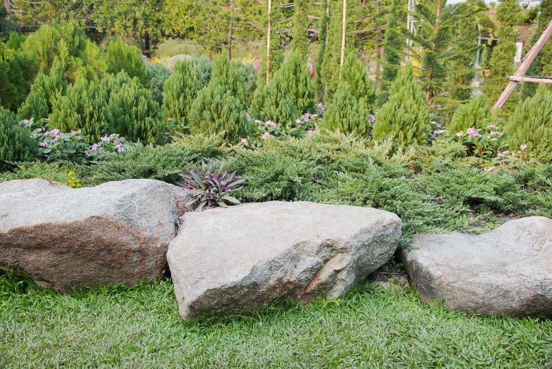 Stone and Plant for a Decorate in Garden Stock Image - Image of ...