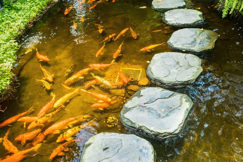 Stone Platform, Walkway Across the Garden Fish Pond Stock Image - Image ...